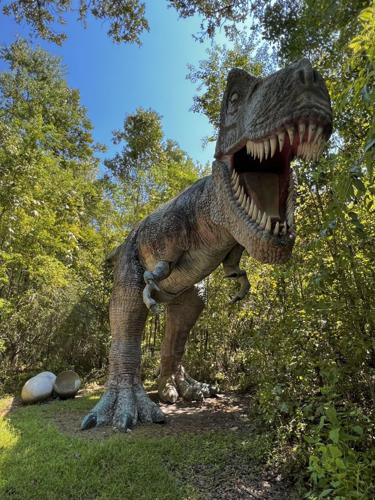 Prehistoric Park in Breaux Bridge features 28 dinosaurs | Entertainment ...