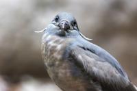 Photo tour of Audubon Aquarium renovations, with insectarium | Photos ...