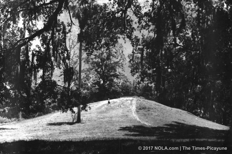 The evolution of Monkey Hill, and why New Orleanians still go ape over ...