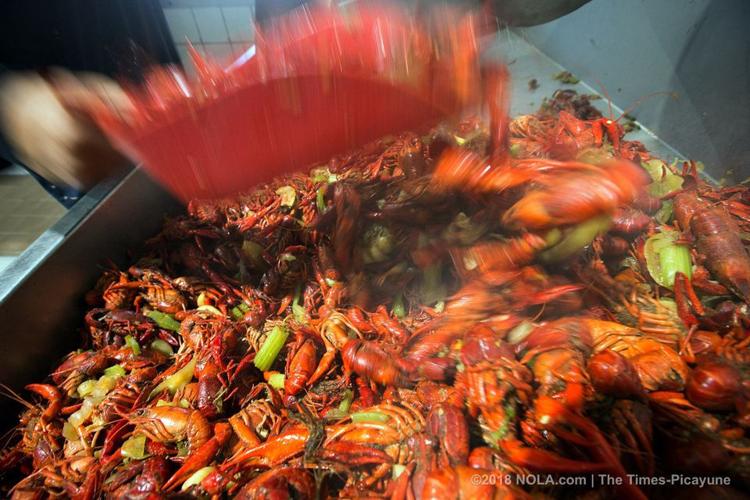Yabbies? 6 names for crawfish in other places | Archive | nola.com
