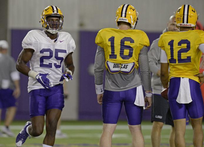 Drake Davis, poised to be LSU's return man, is still trying to leap ...