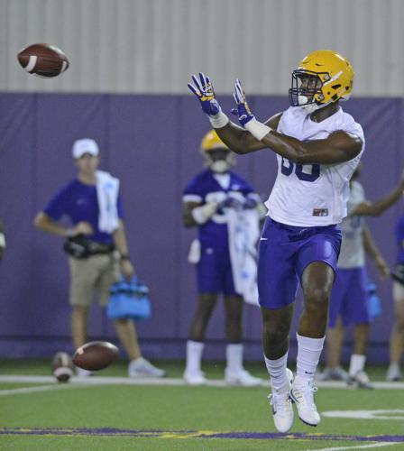 Photos: Football! LSU Tigers gets to work in first day of camp | Photos ...