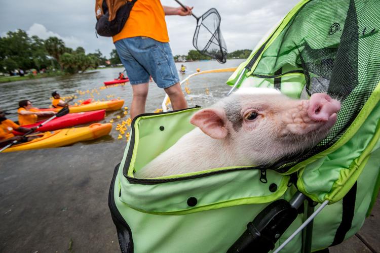 Photos: Rubber Duck Derby | Photos | nola.com