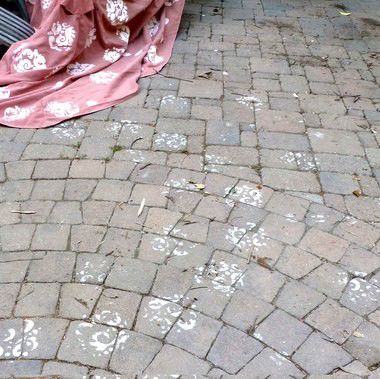 DIY disasters - the upside of failure | Home/Garden | nola.com