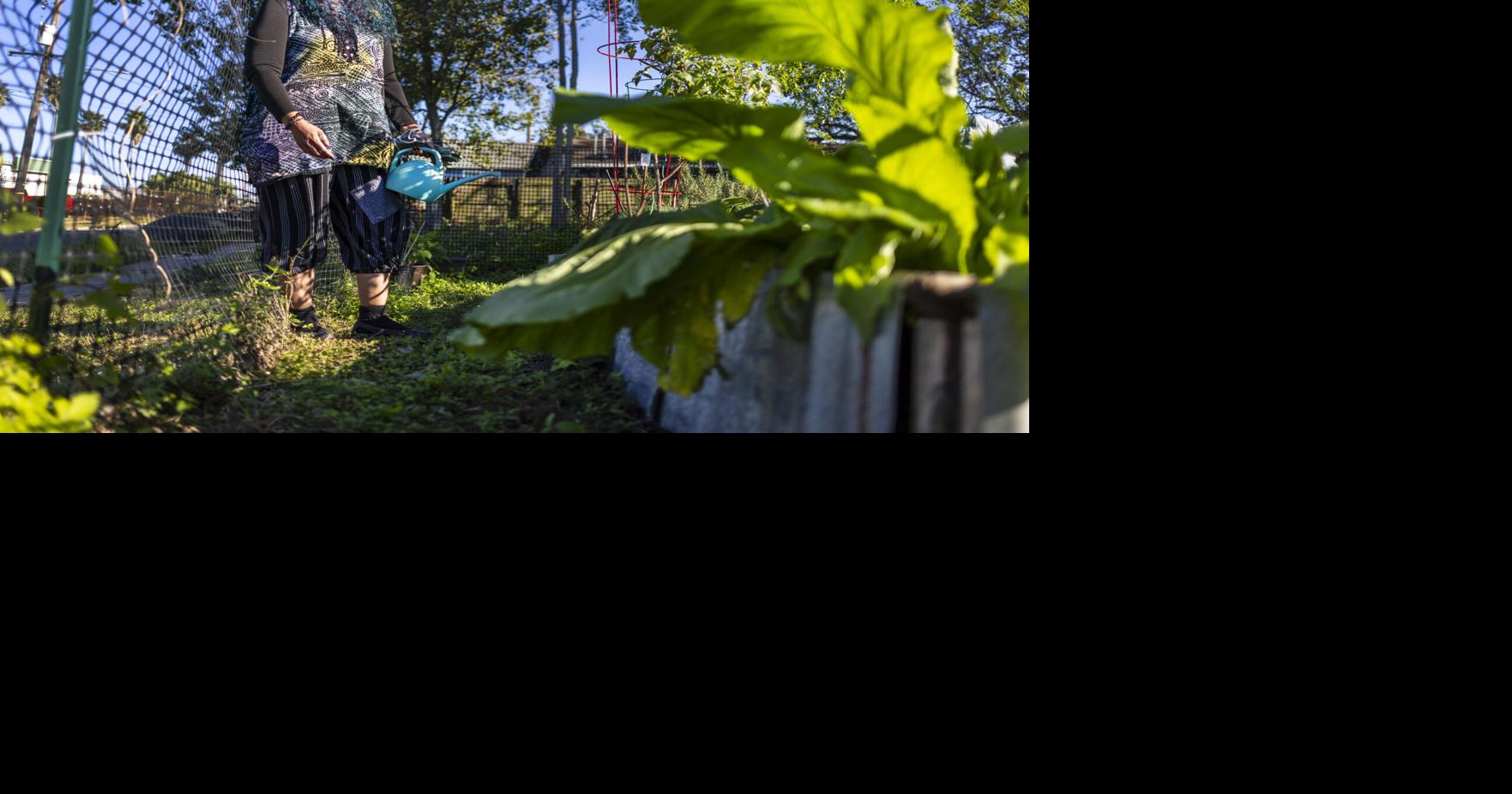 Bulbancha Blooms is a garden in New Orleans' Upper 9th Ward ...