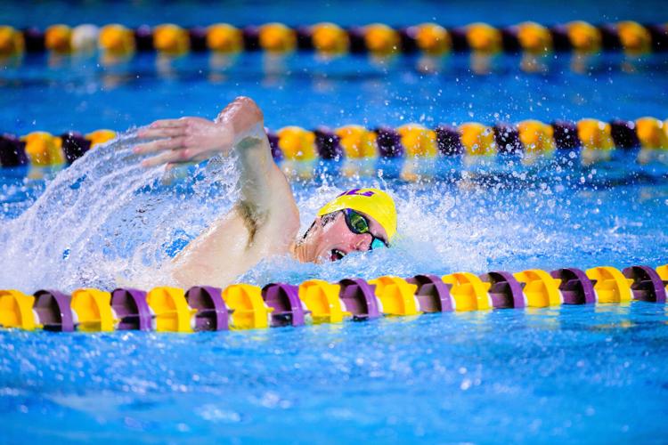 Three former LSU swimmers, divers added to Paris Olympics | LSU | nola.com