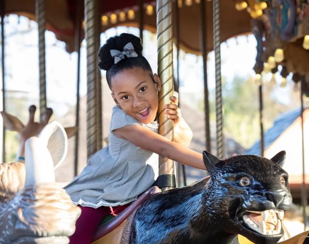 Audubon Zoo's carousel has been removed. Is it coming back? | Business ...