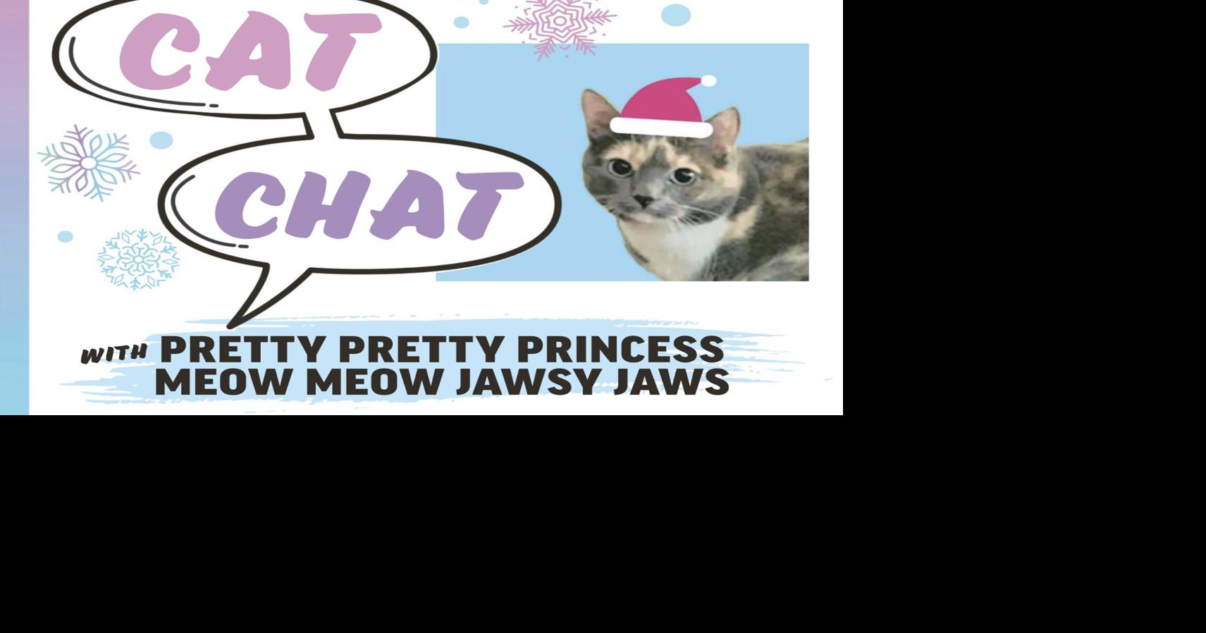 Cat Chat! with Pretty Pretty Princess Meow Meow Jawsy Jaws | Pets ...