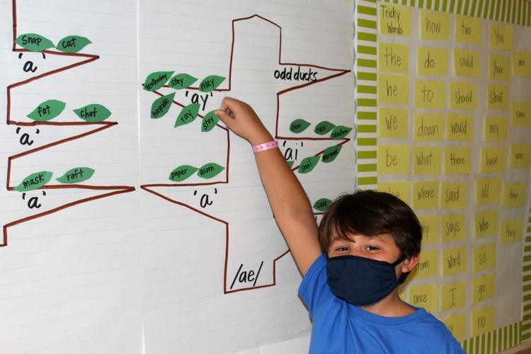 Mimosa Park Elementary School spelling tree sprouts leaves of ...
