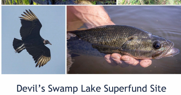Devil's Swamp Lake Draft NRDA Plan | | nola.com