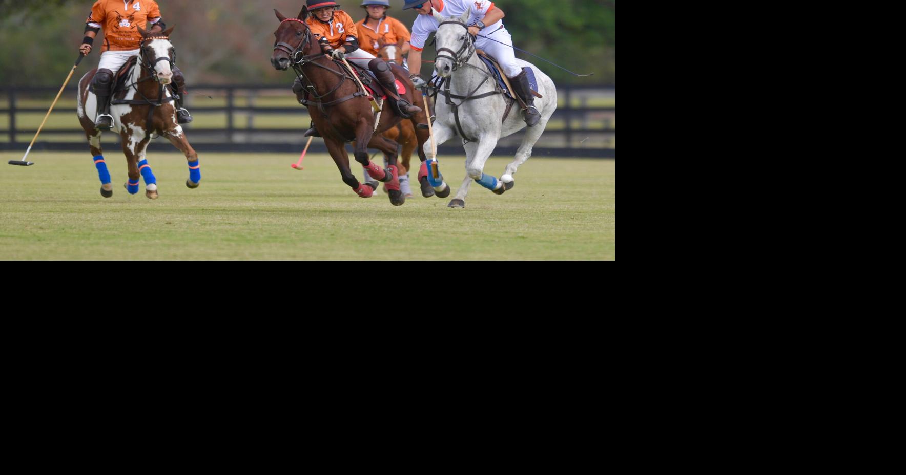 Polo games played for fun and charity in Folsom | St. Tammany community ...