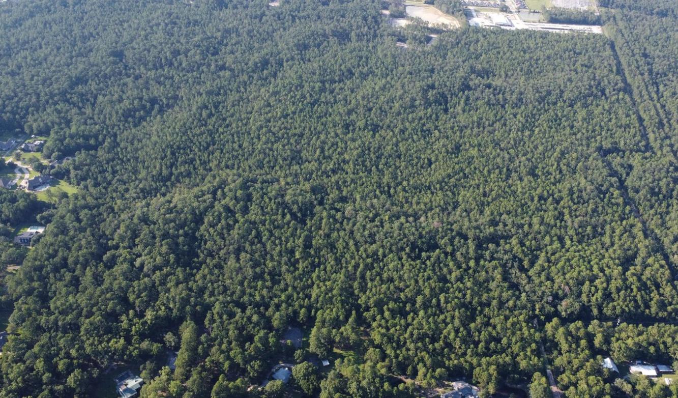 St. Tammany Parish plans to purchase 168 acres for drainage | St ...