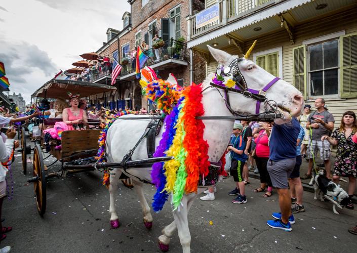 Photos: Gay Easter parade | Photos | nola.com