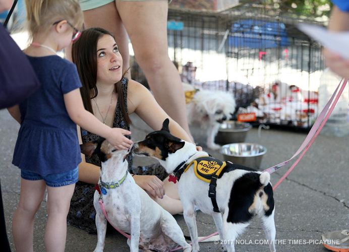 Freret Street Festival 2017: photo gallery | Louisiana Festivals | nola.com