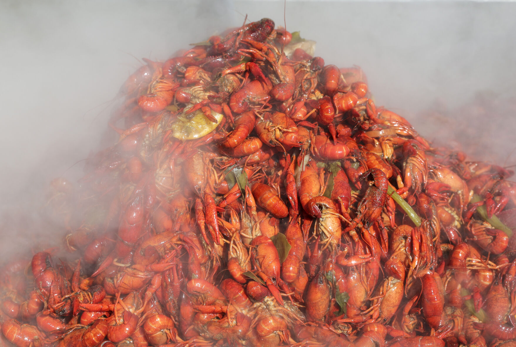Photos: Suck da heads and pinch da tails. It's crawfish season in the ...