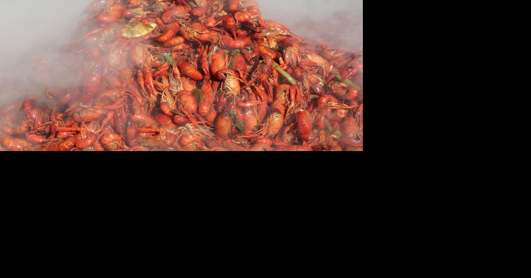 Photos: Suck da heads and pinch da tails. It's crawfish season in the ...