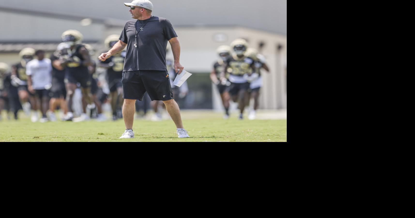 Interim coach Darren Rizzi bringing 'juice' to Saints | Saints | nola.com
