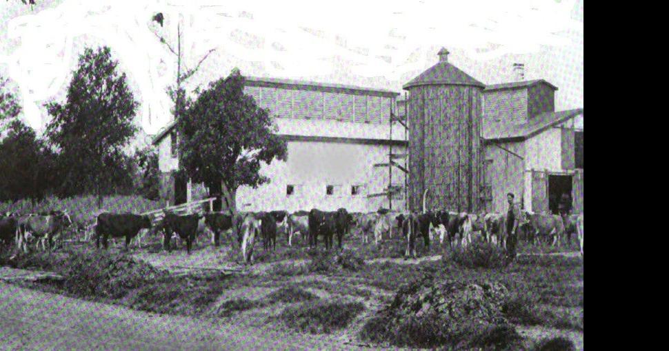 Richard Campanella: the birth of New Orleans' 'Dairy Belt' | One ...