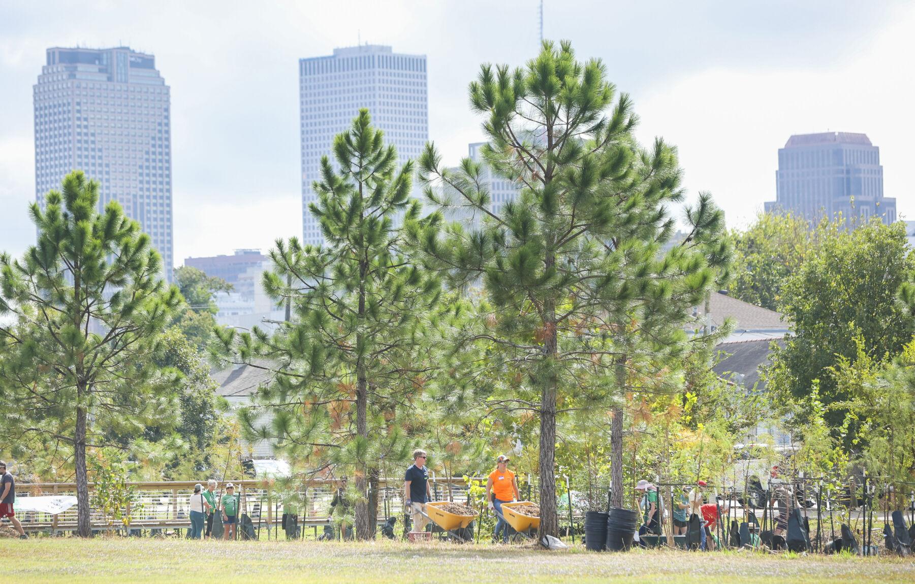 New Orleans' Lafitte Greenway releases 3-year master plan | News | nola.com
