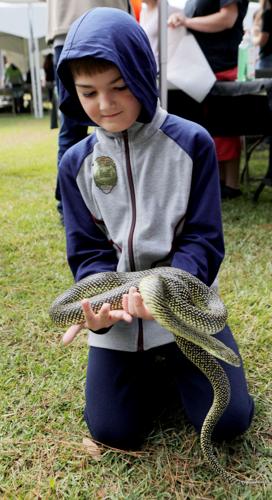 Families flock to connect with 'wild things' | St. Tammany community ...