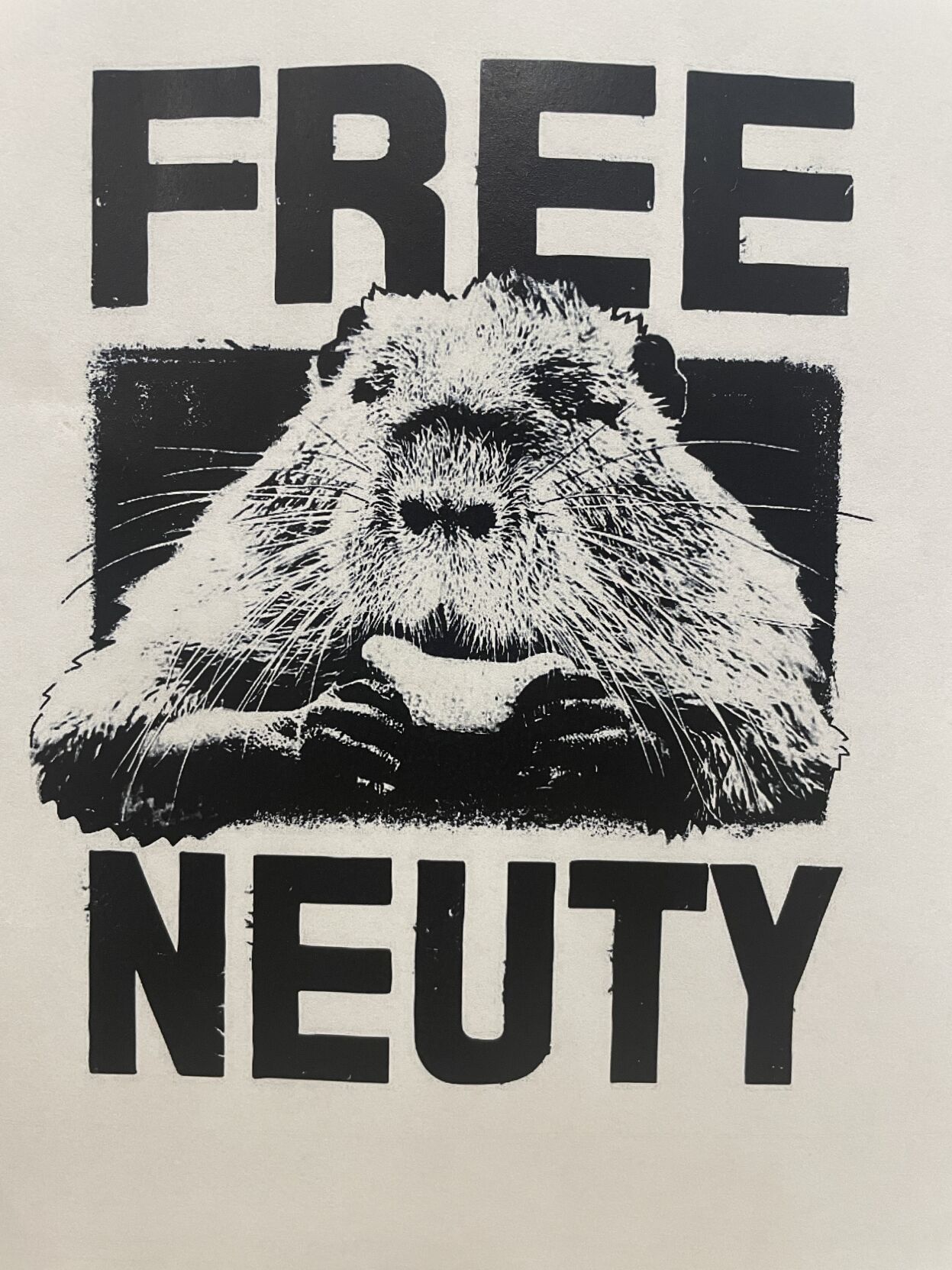 Neuty the Louisiana nutria unbothered by Hurricane Francine ...