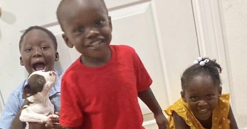 Aunt of children killed in October arson speaks out | Crime/Police ...