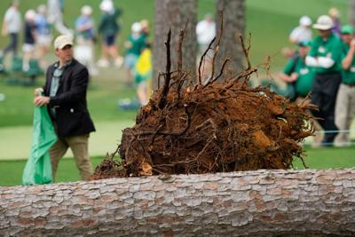Trees fall at Augusta National in scary scene at Masters | Sports ...