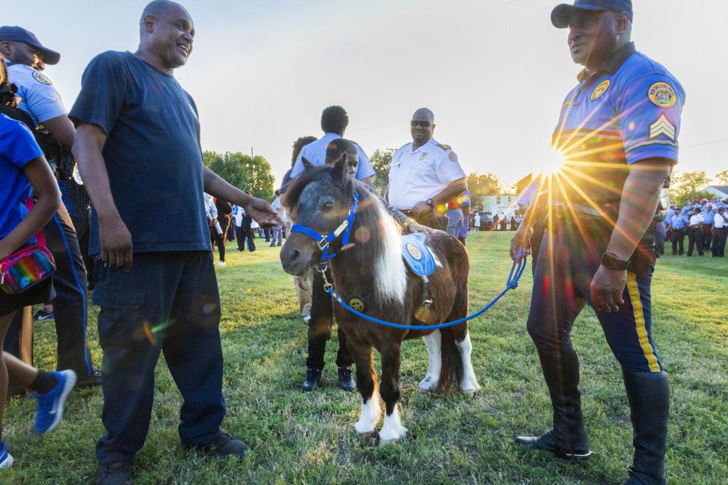 New Orleans LA leads US in decline on violent crime. See how | Crime ...