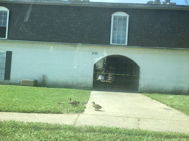 Kenner apartment building fire leaves 11 families homeless | Traffic ...