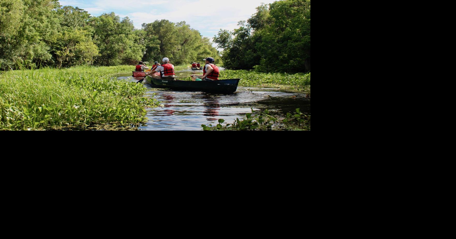 See photos of international ecologists canoeing the Manchac Freshwater ...