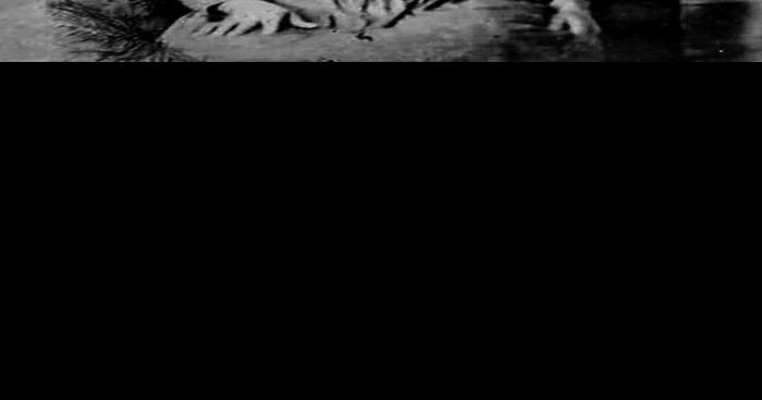 Louisiana families dig into their history, find they are descendants of ...