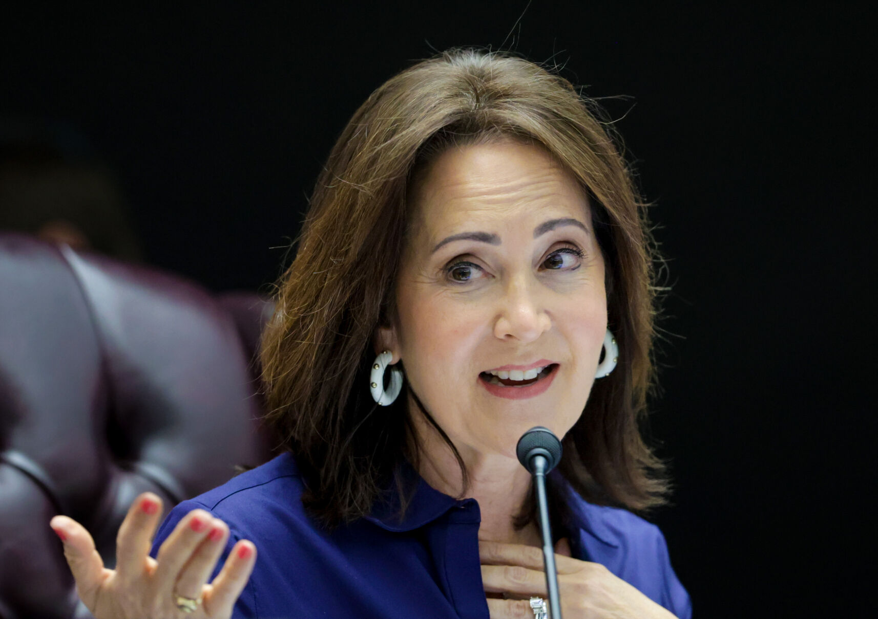 Jennifer Van Vrancken won't chair Jefferson Parish council | Jefferson ...