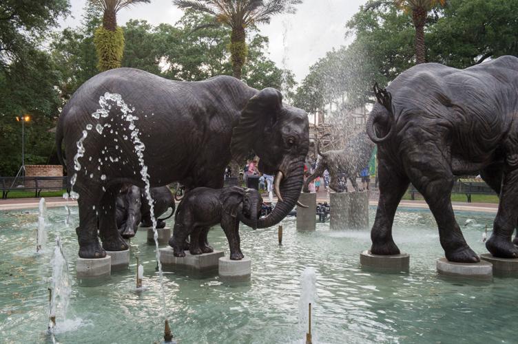 Photos: New wildlife statues make a splash at Audubon Zoo's watering ...