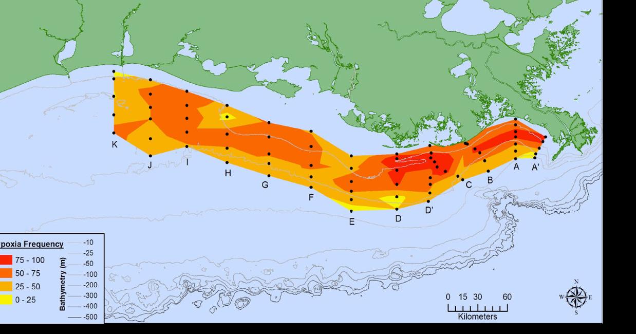Low oxygen 'dead zone' to affect 6,700 square miles along Louisiana ...