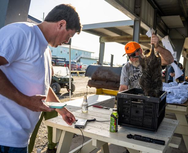 Nutria Rodeo photos | News | nola.com