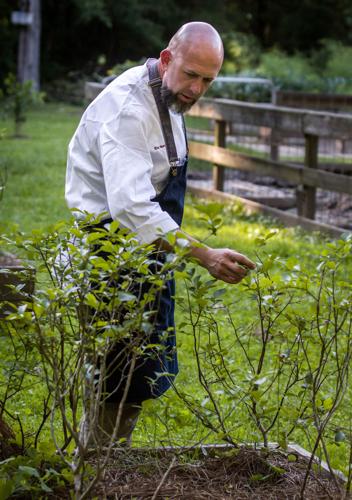 Vive La Provence: a new chapter and a homecoming at a north shore ...