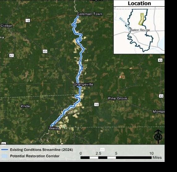$4B Amite River Basin proposal mixes old and new ideas | Business News ...