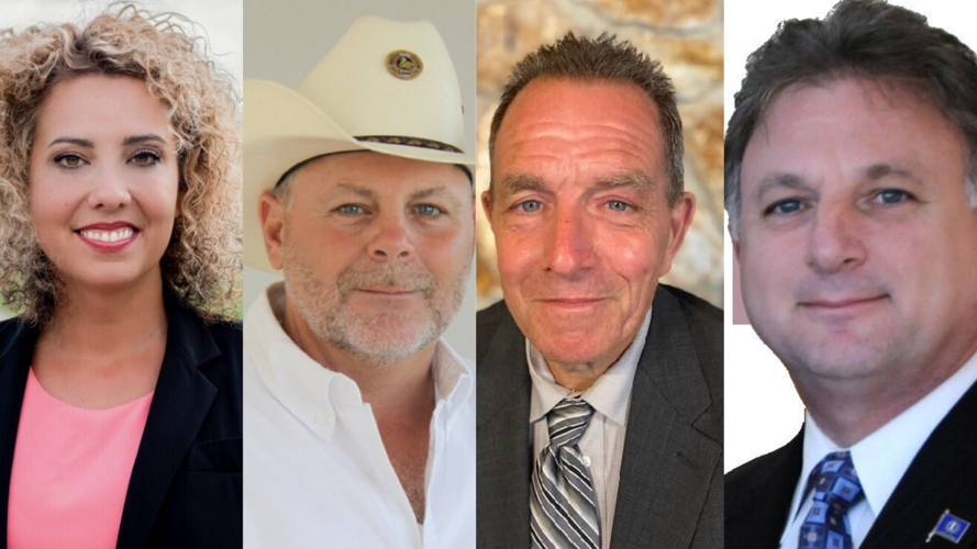 See election results in St. Bernard Parish president's race | Local ...