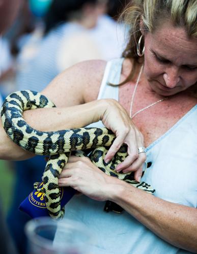 Photos: Finger lickin' goodness from inaugural Fried Chicken Festival ...