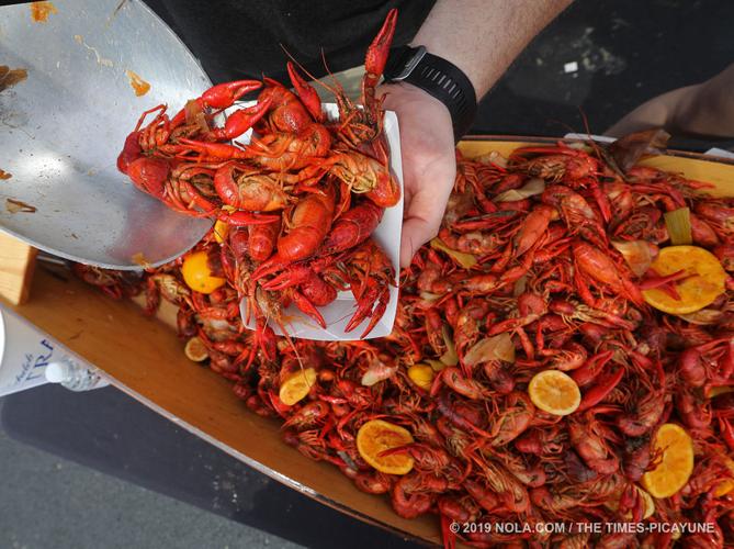 Crawfish Mambo at UNO: Savor the photos | Entertainment/Life | nola.com