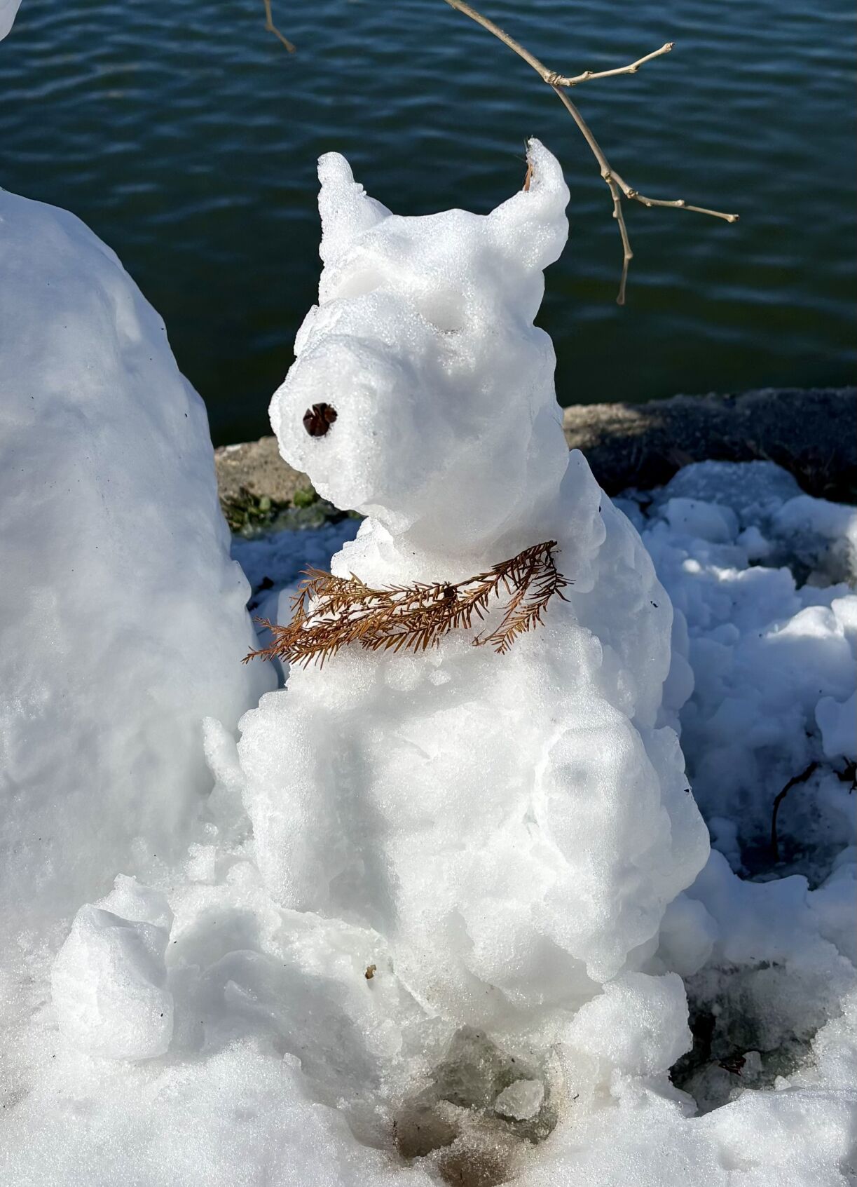 Runaway dog Scrim survives New Orleans blizzard and freeze ...