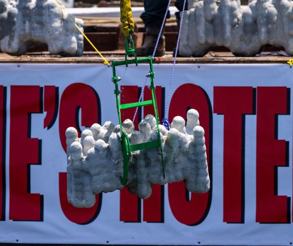 'Cajun coral' builds an artificial reef off Louisiana coast ...