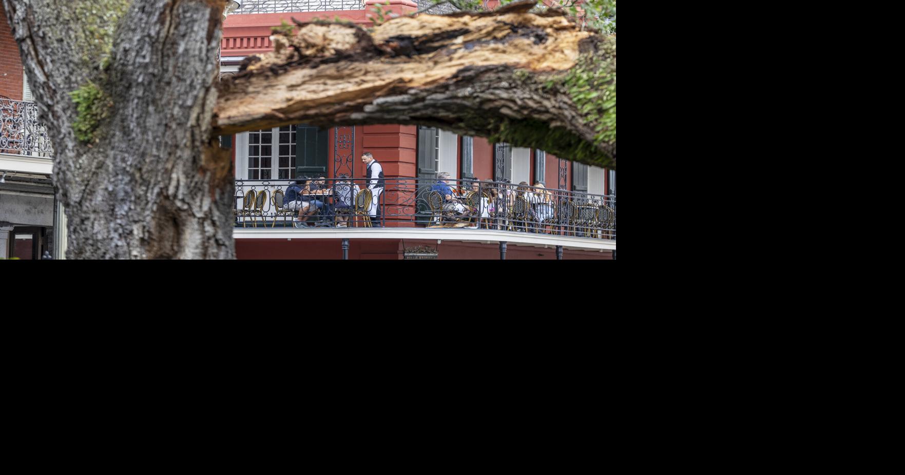 Jackson Square oak tree was inspected prior to accident, showed no ...