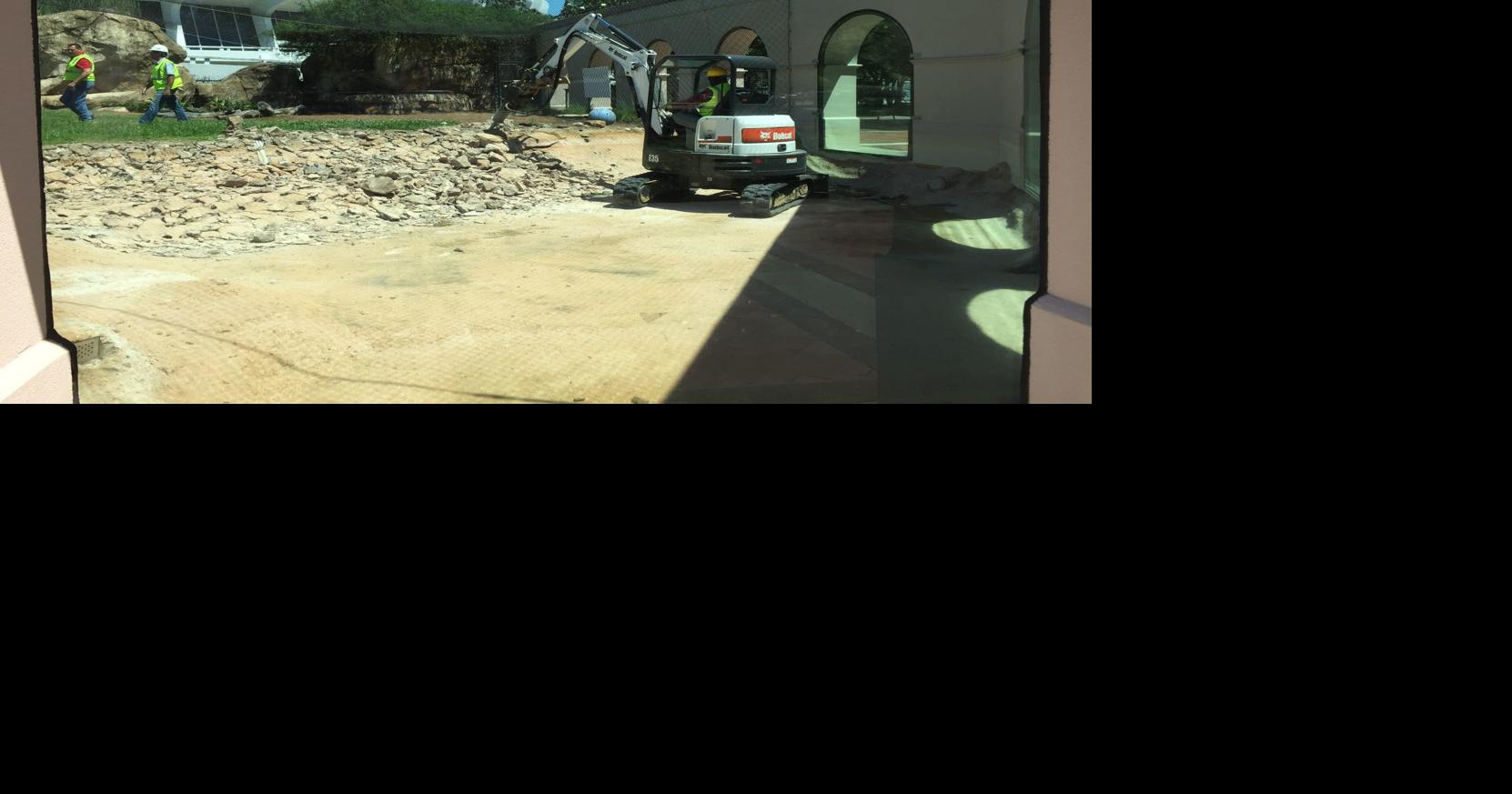 Video: LSU habitat upgrades under way; next Mike the Tiger to enjoy new ...