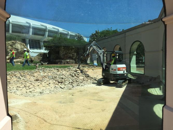 Video: LSU habitat upgrades under way; next Mike the Tiger to enjoy new ...