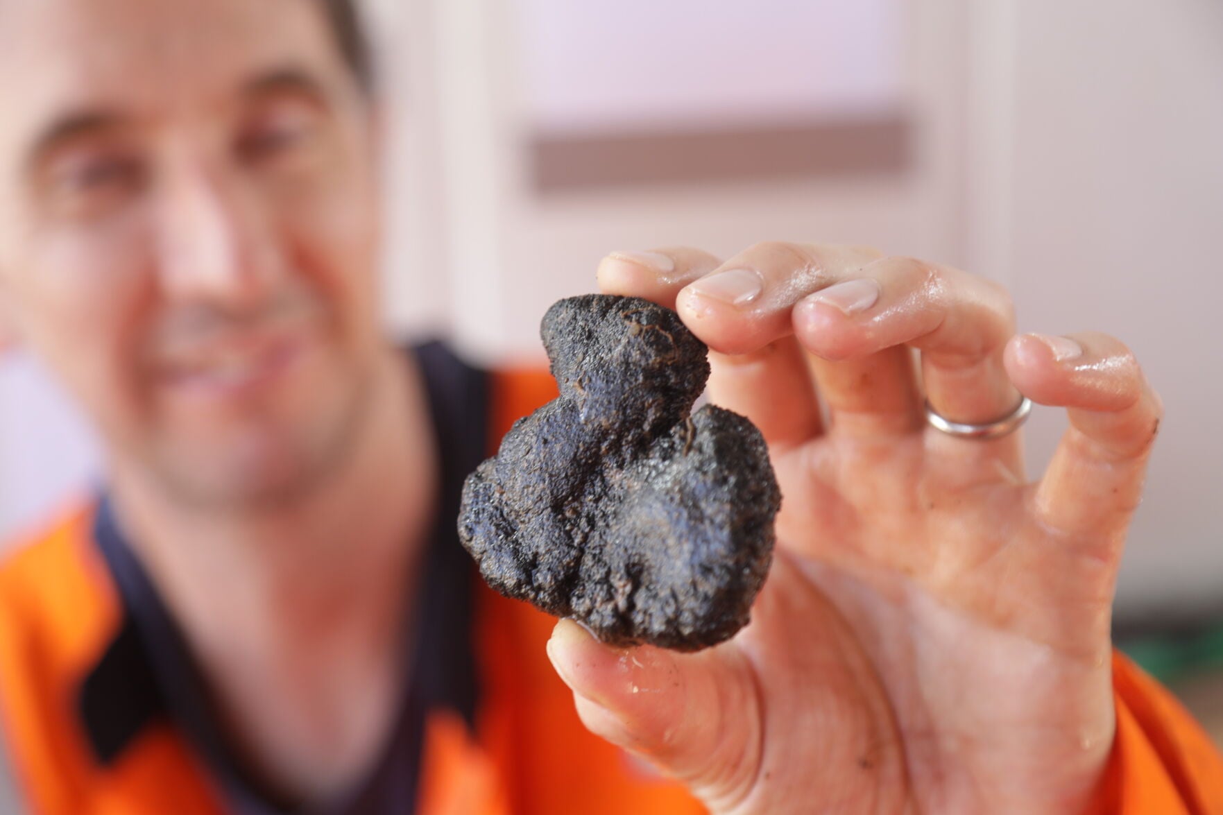 Polymetallic nodules | | nola.com