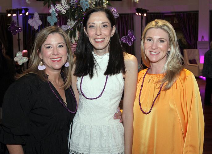 Nell Nolan: Lark in the Park, Mount Carmel Spring Fling, Sip to Save ...