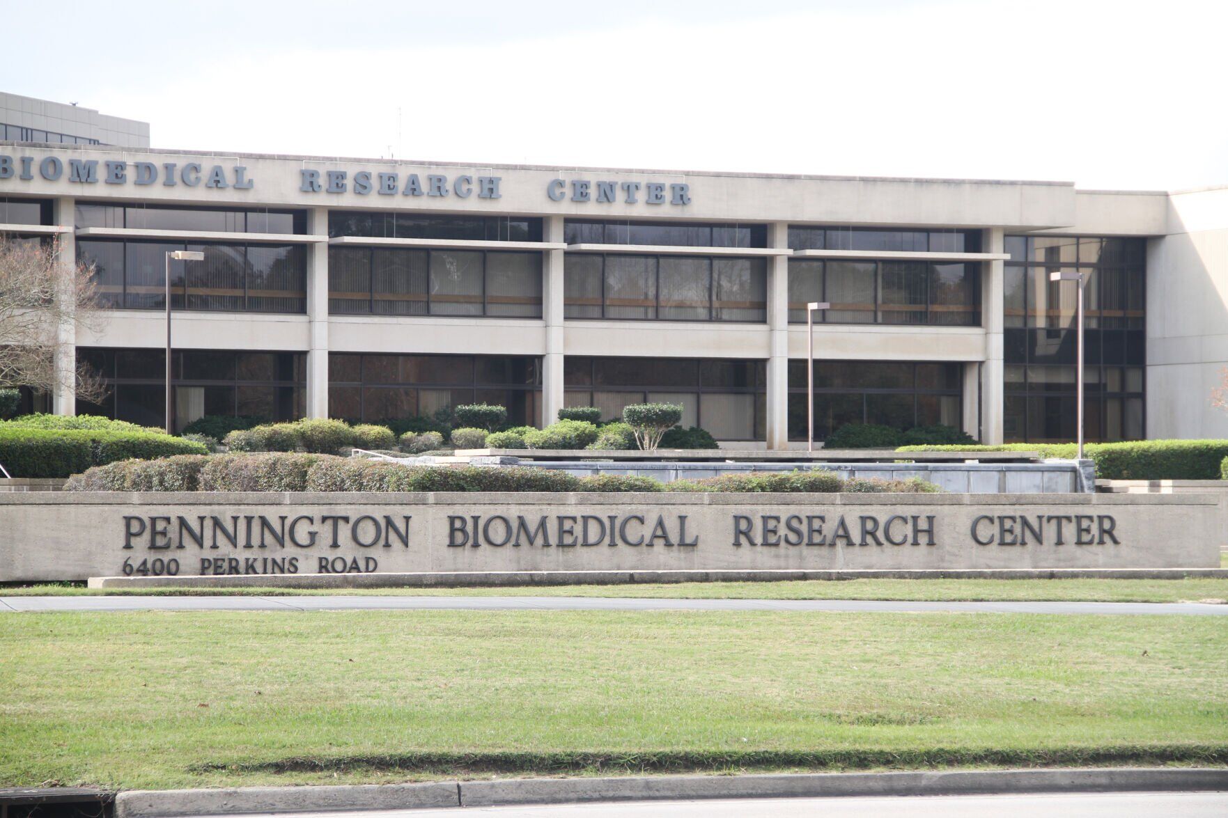 Commission discusses new approach to obesity in Baton Rouge | News ...