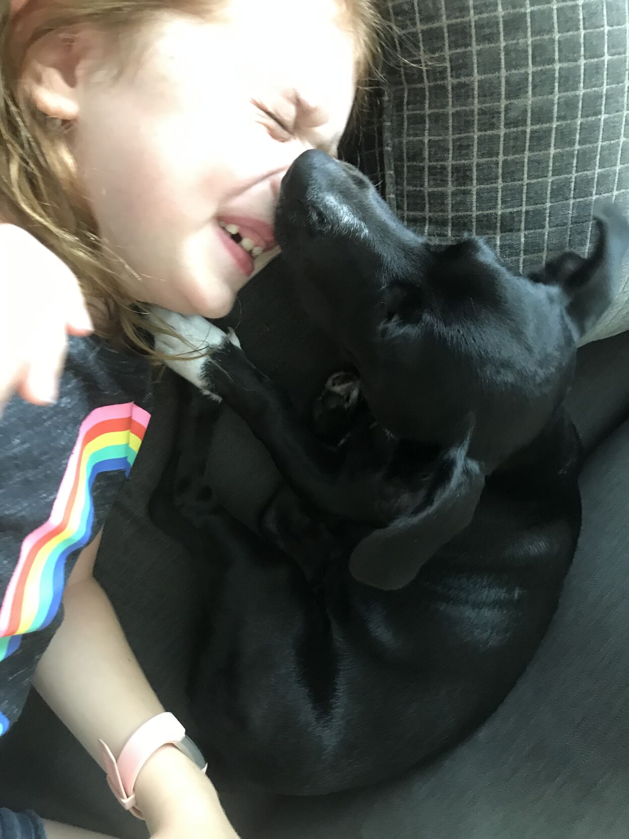 'Goose is gonna Goose': the misadventures of the Spera family's naughty ...