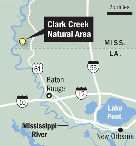 Looking for waterfalls? Hike Mississippi's Clark Creek | Entertainment ...